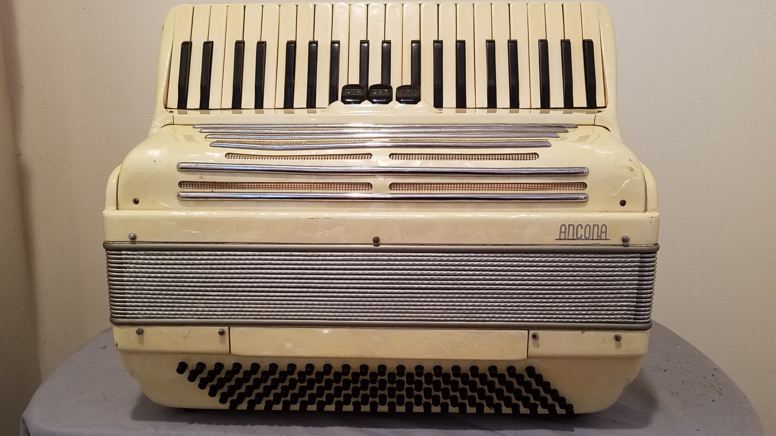 Mid Size Accordions (16-20 lbs) – Accordion Re.Store